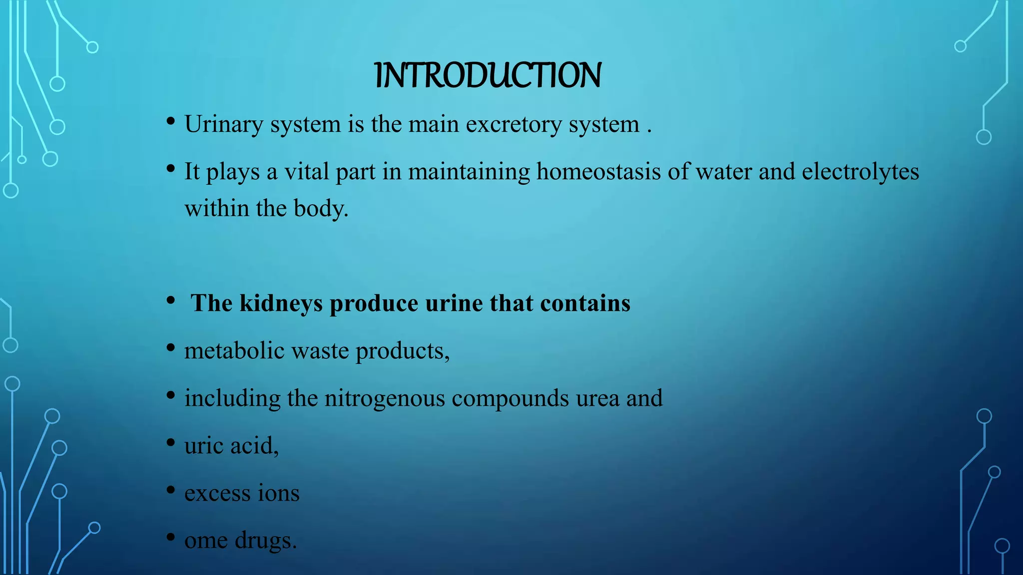 Urinary system | PPTX | Endocrine and Metabolic Diseases | Diseases and ...
