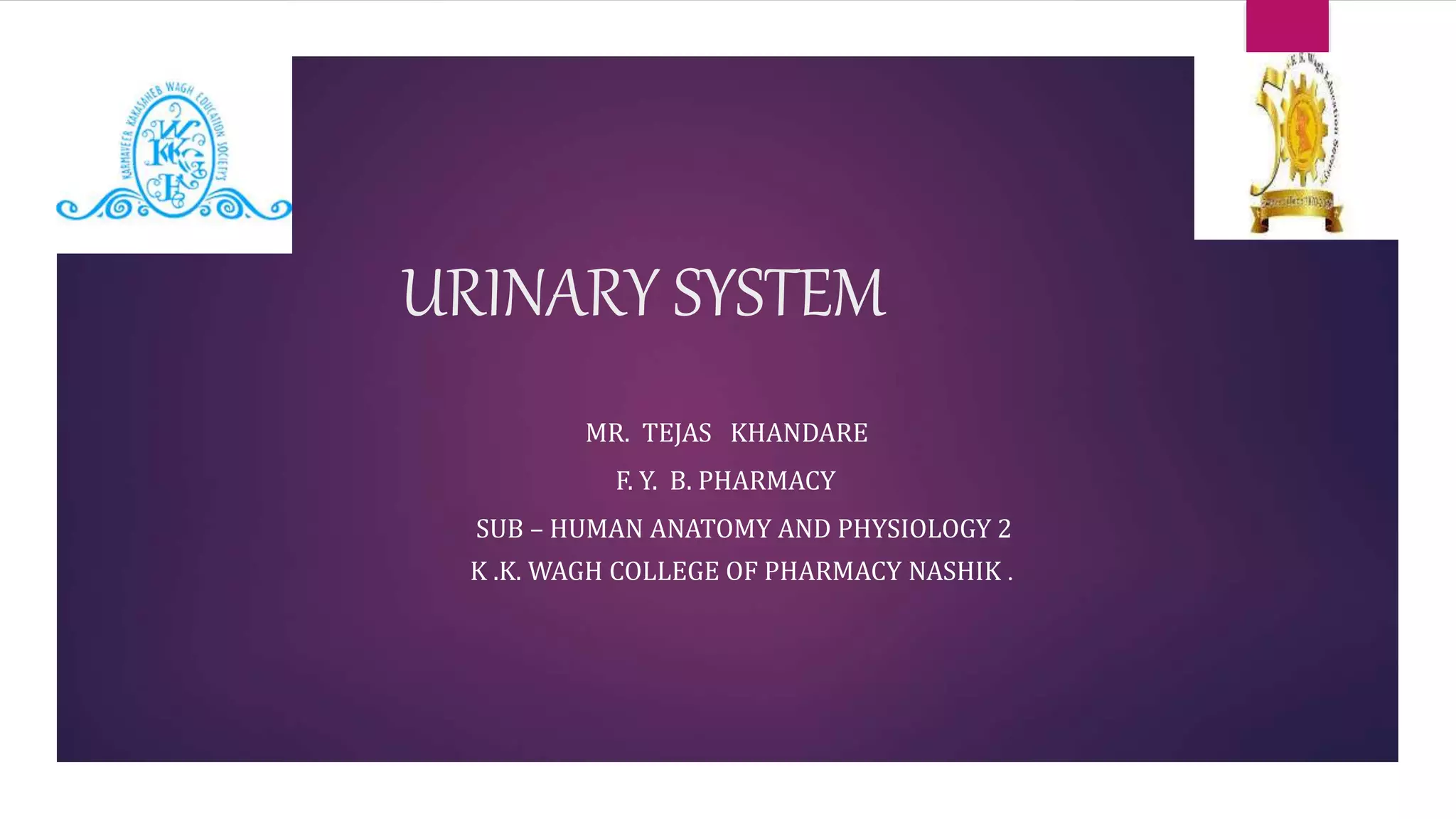 Urinary system | PPT