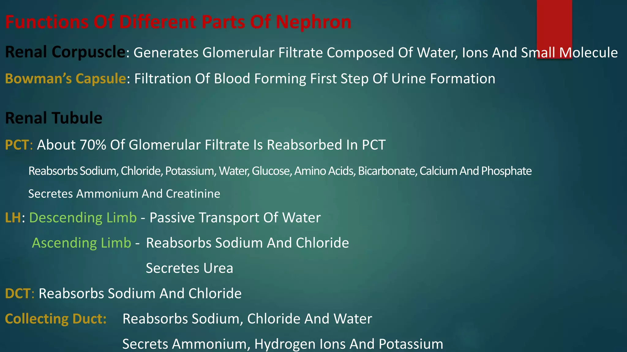 Urinary system | PPTX