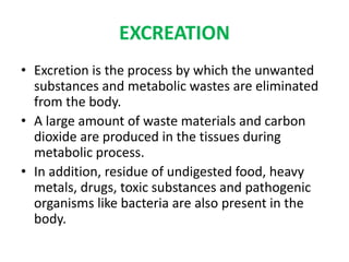 URINARY SYSTEM | PPT