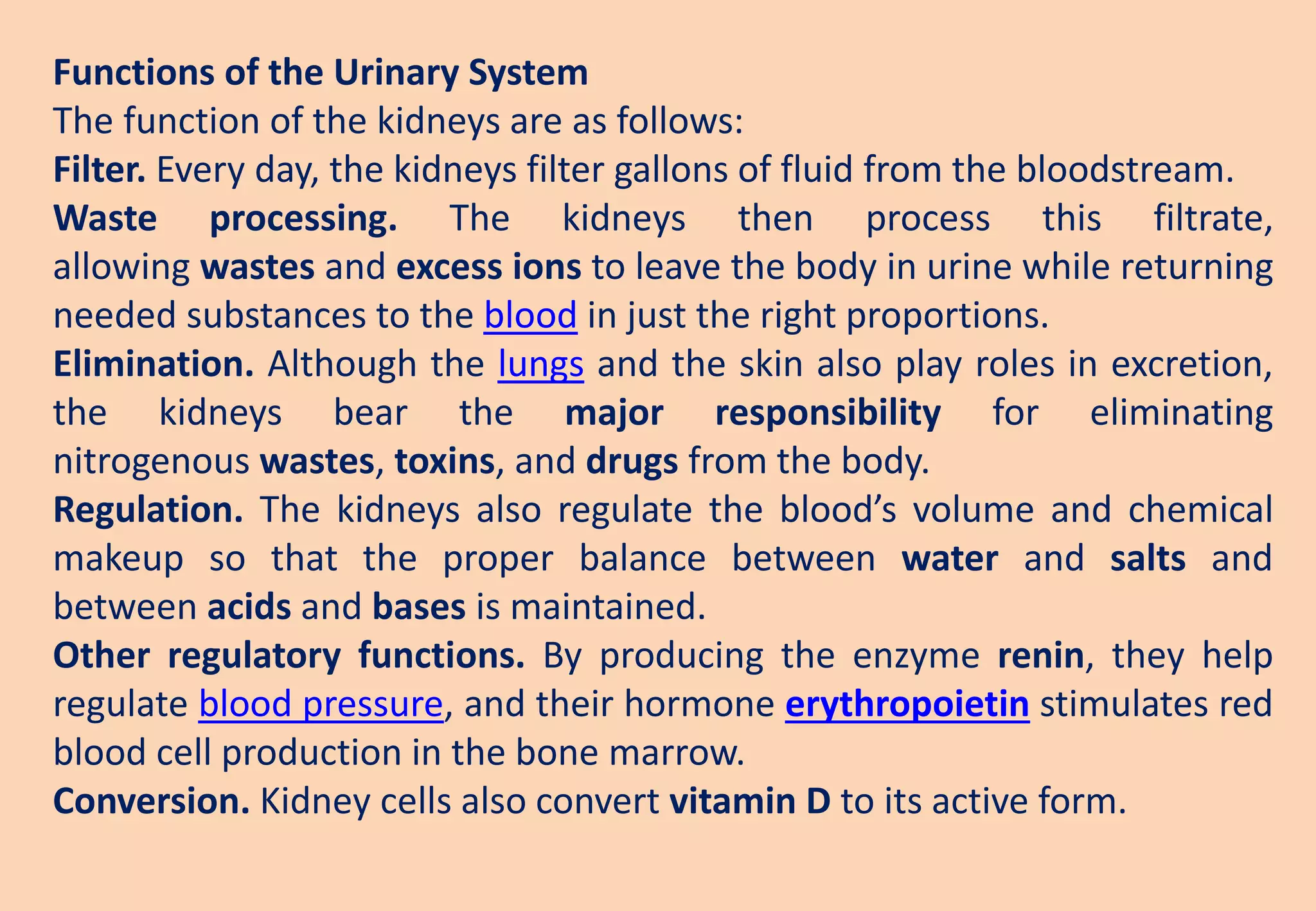 Urinary System.pptx | Endocrine and Metabolic Diseases | Diseases and ...