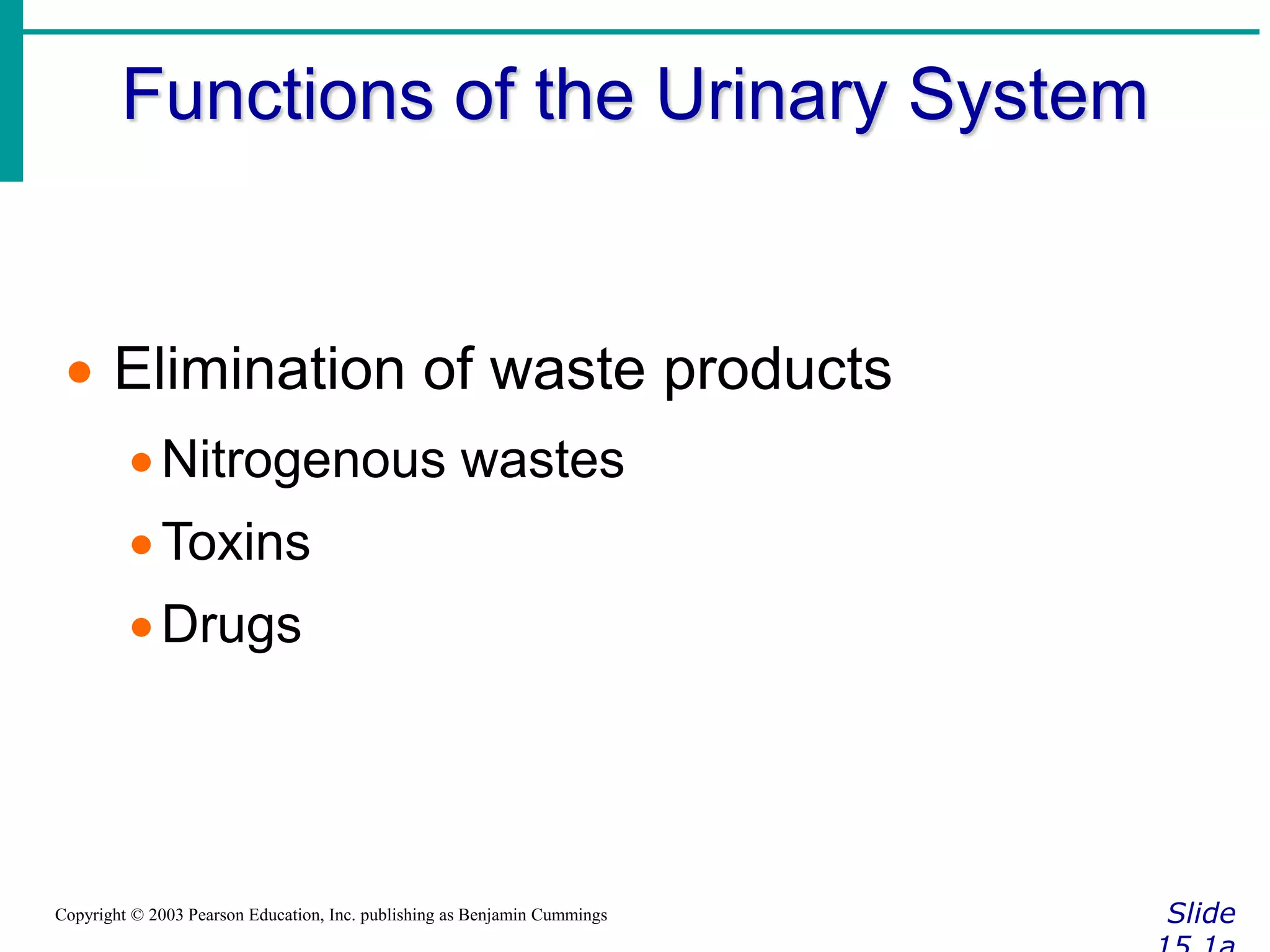 urinary system.ppt