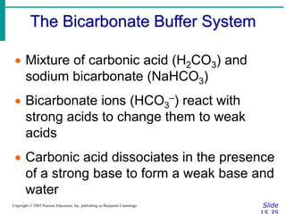 urinary system.ppt
