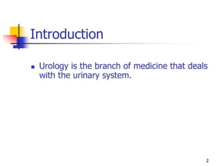 Urinary system.ppt