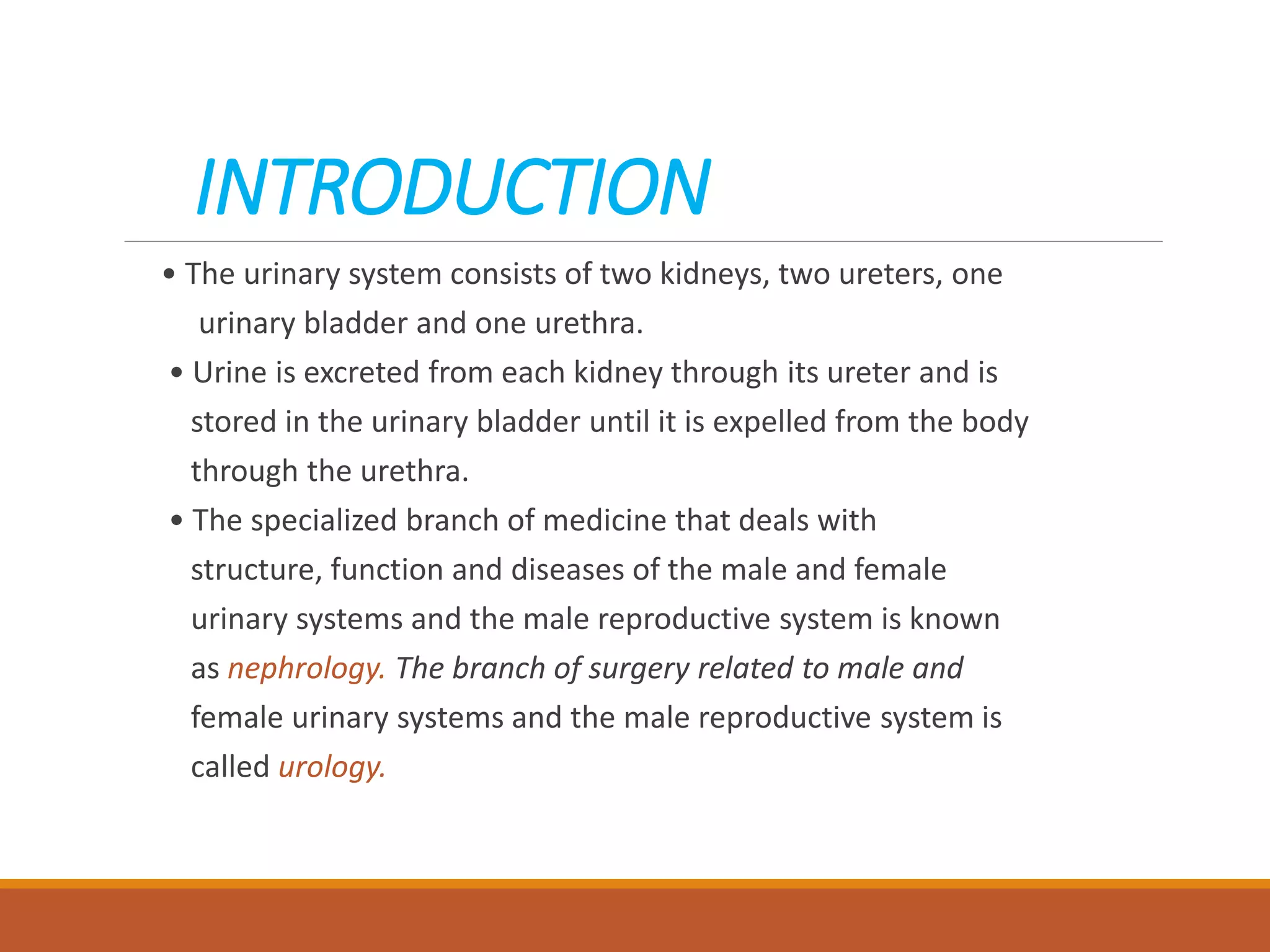 URINARY SYSTEM.ppt