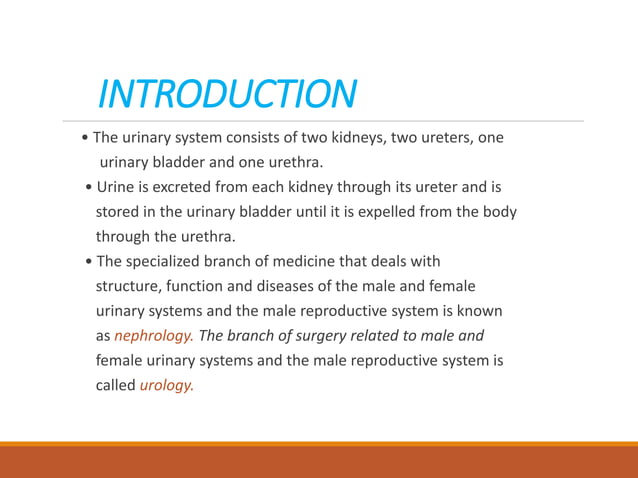 URINARY SYSTEM.ppt