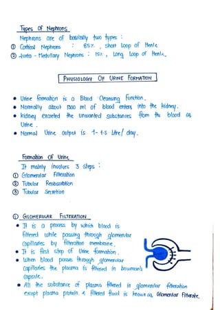 Urinary System Handwritten Notes PDF by Vicky | PDF