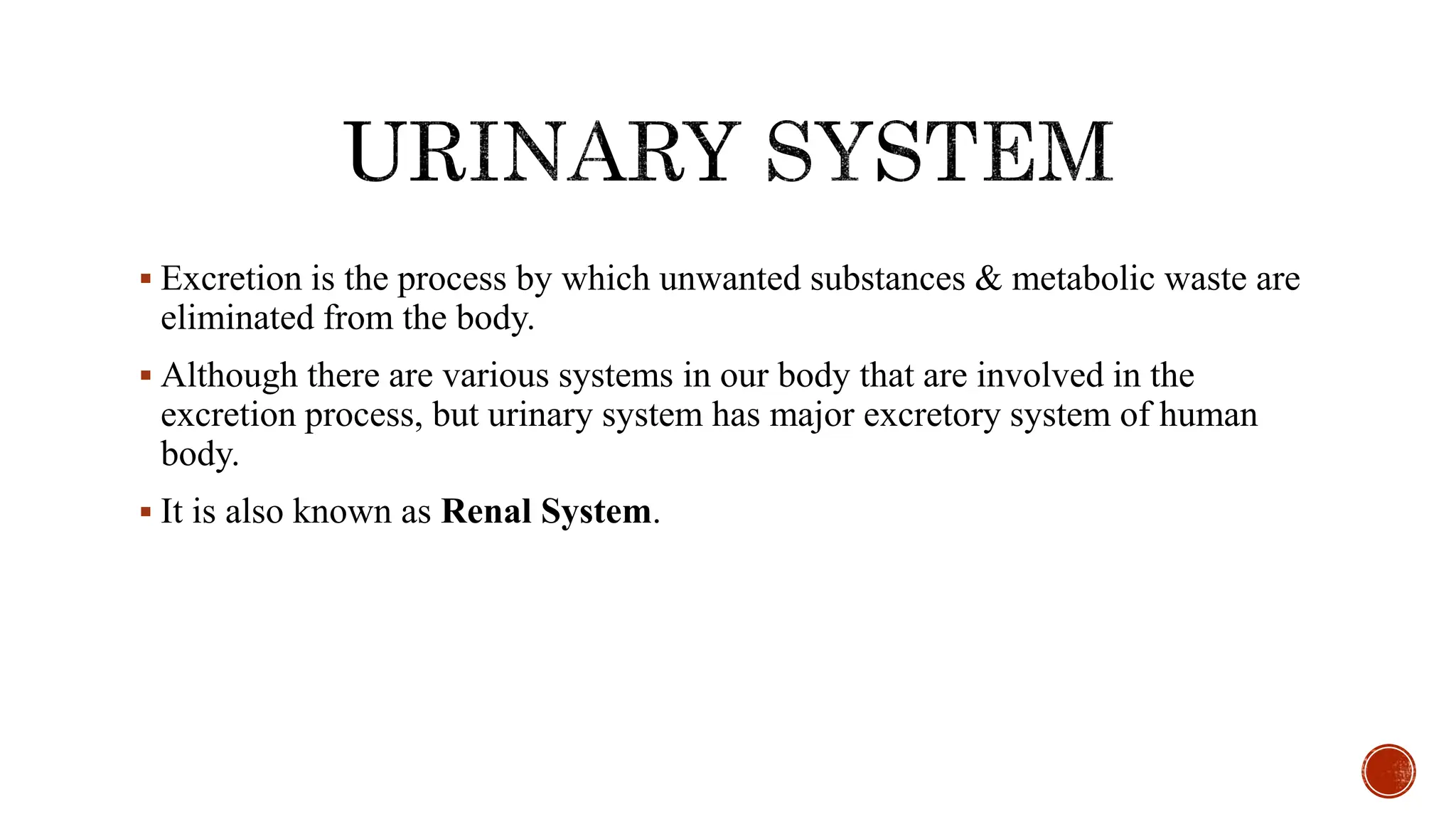 Urinary System human anatomu and physiology 2 .pptx | Chemistry | Science