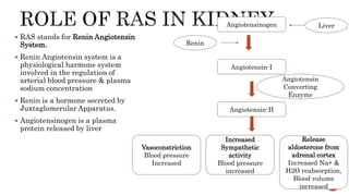 Urinary System human anatomu and physiology 2 .pptx | Chemistry | Science