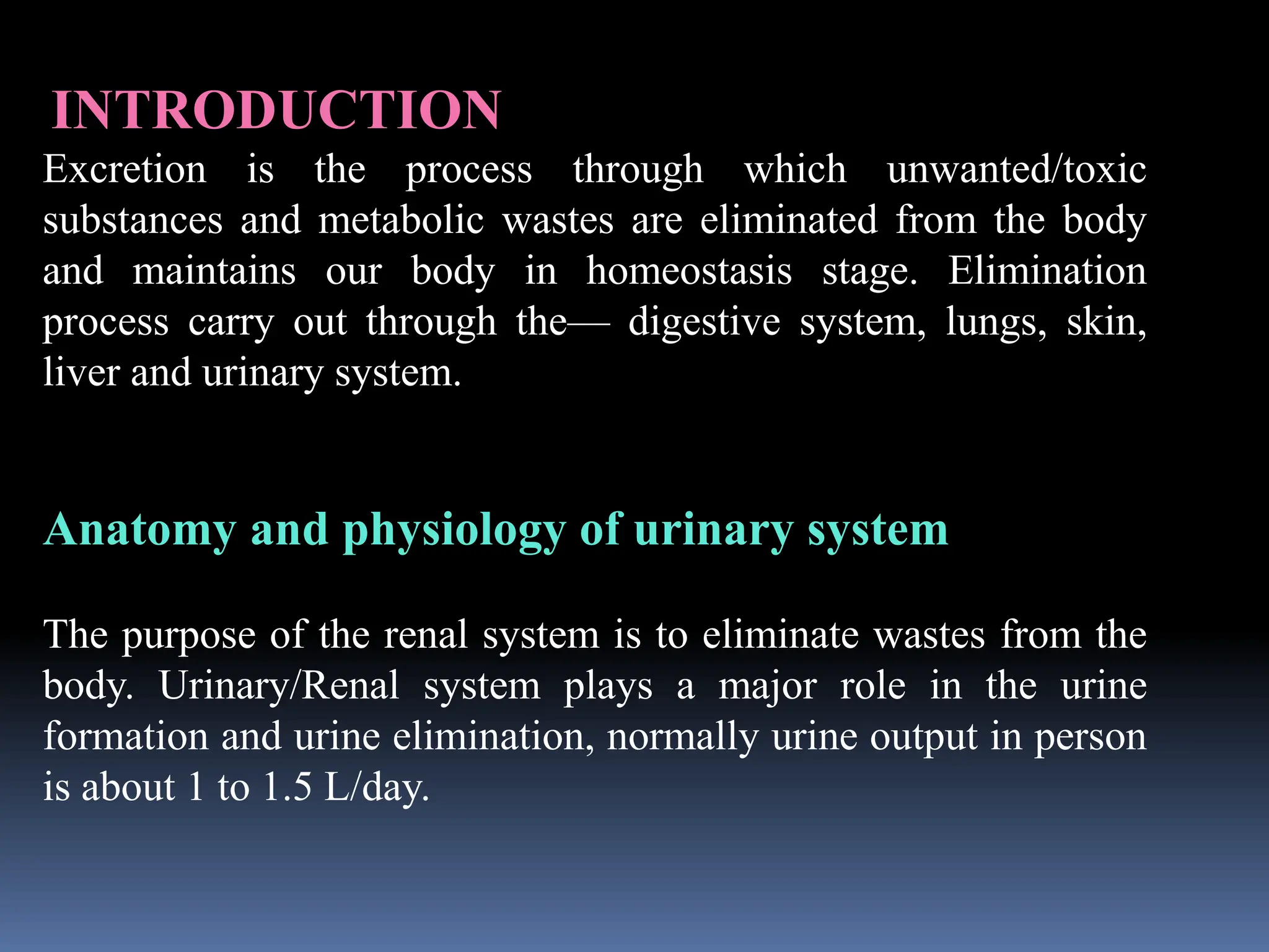 urinary system human anatomy and physiology | PPT