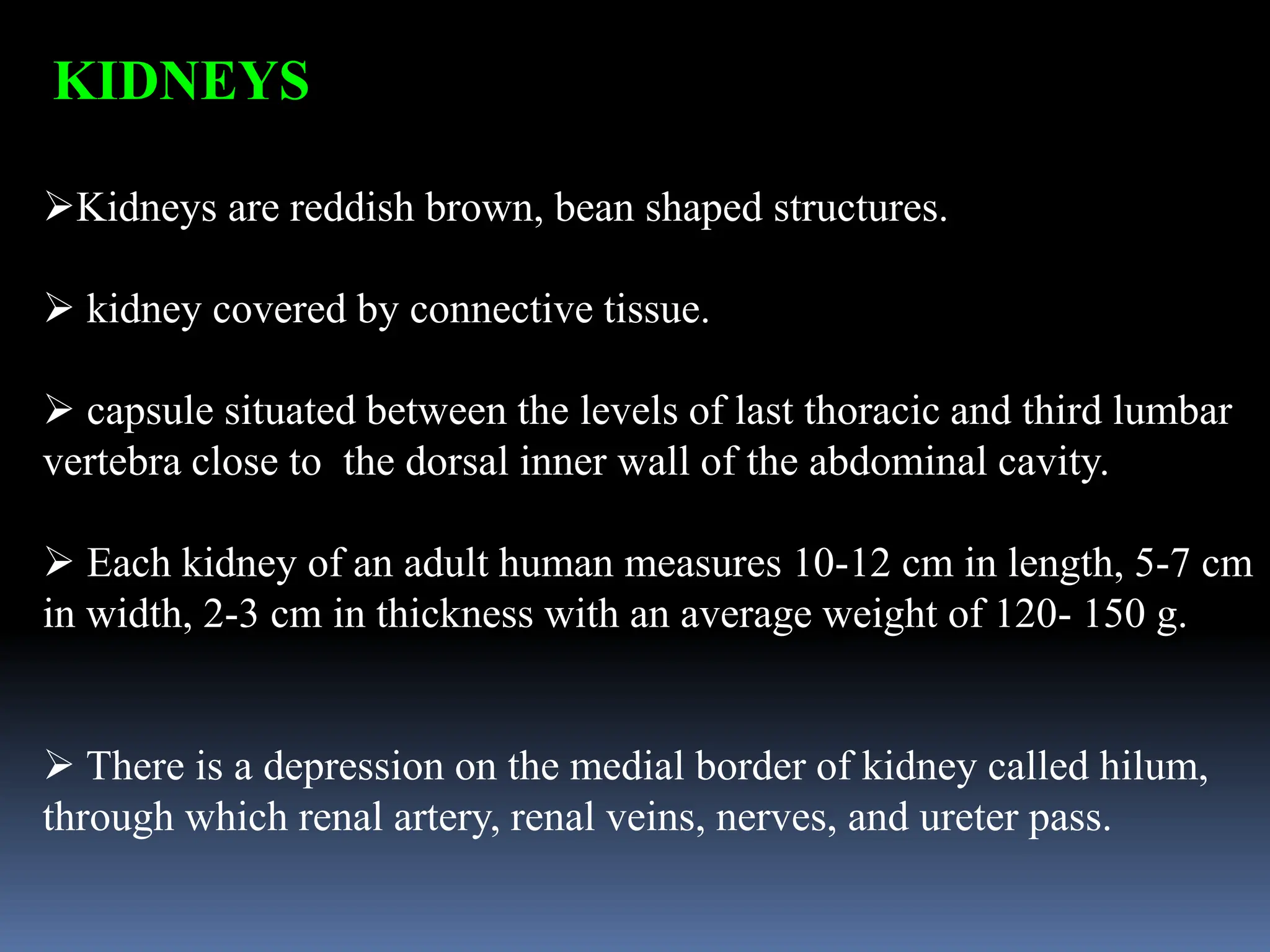 urinary system human anatomy and physiology | PPTX