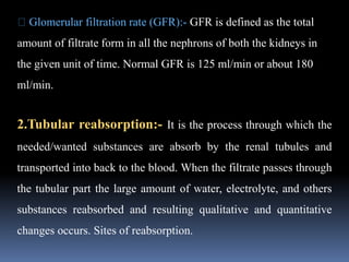 urinary system human anatomy and physiology | PPTX