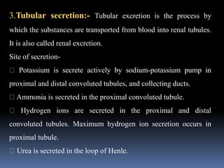urinary system human anatomy and physiology | PPTX