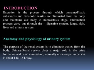 urinary system human anatomy and physiology | PPTX