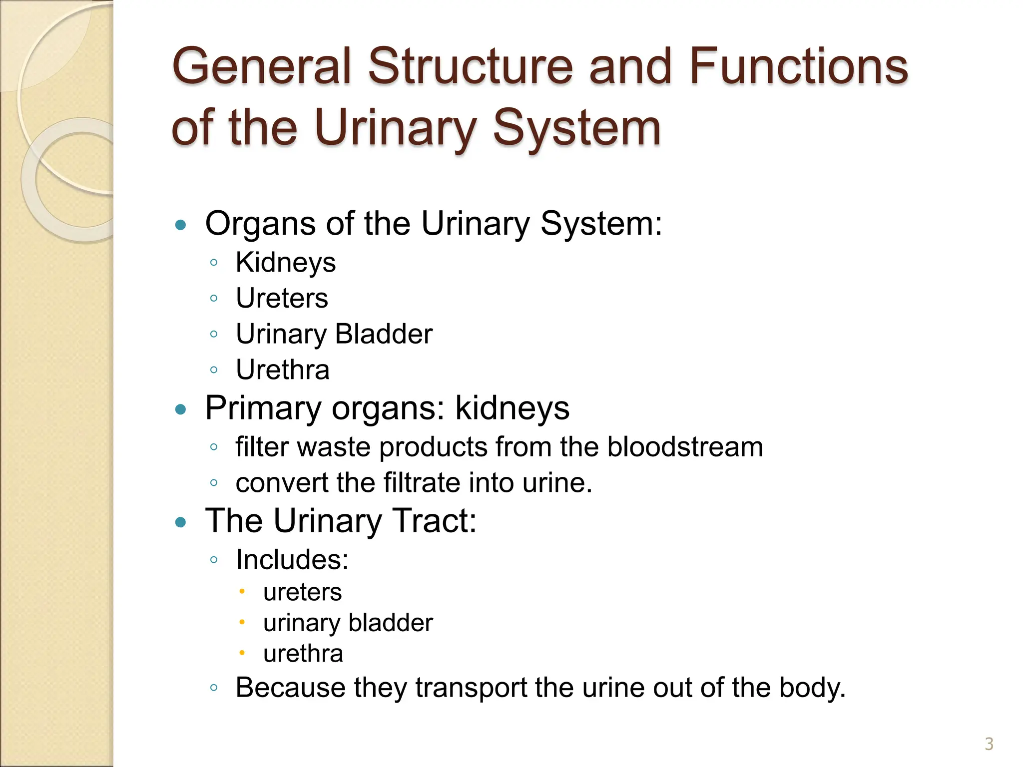 anatomical structures of Urinary System.ppt | Chemistry | Science