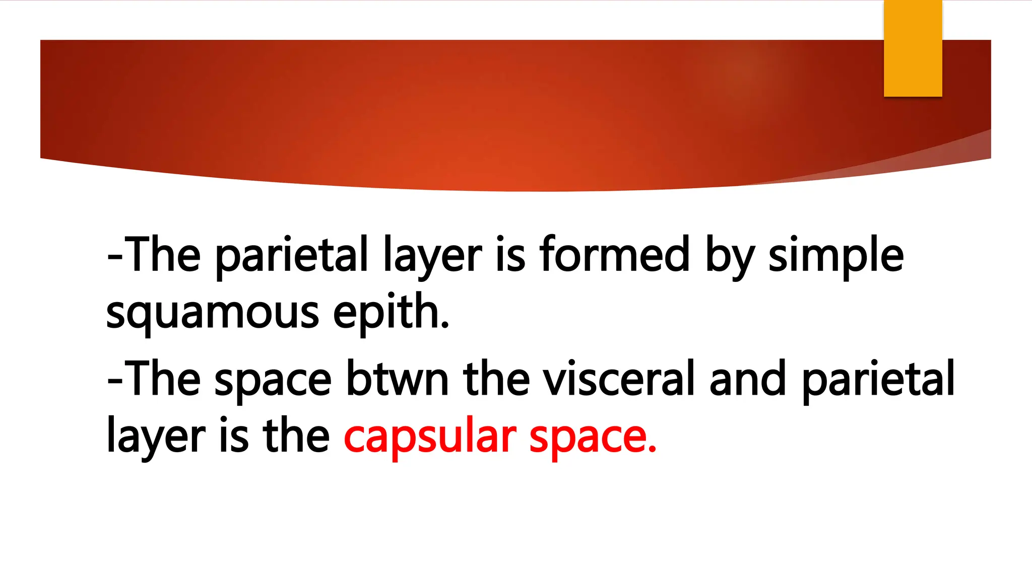 URINARY SYSTEM.pptxkucicigiccigigigggigkgkg | PPTX