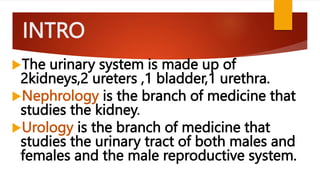 URINARY SYSTEM.pptxkucicigiccigigigggigkgkg | PPT