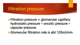 URINARY SYSTEM.pptxkucicigiccigigigggigkgkg | PPT
