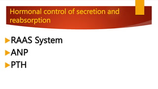 URINARY SYSTEM.pptxkucicigiccigigigggigkgkg | PPT