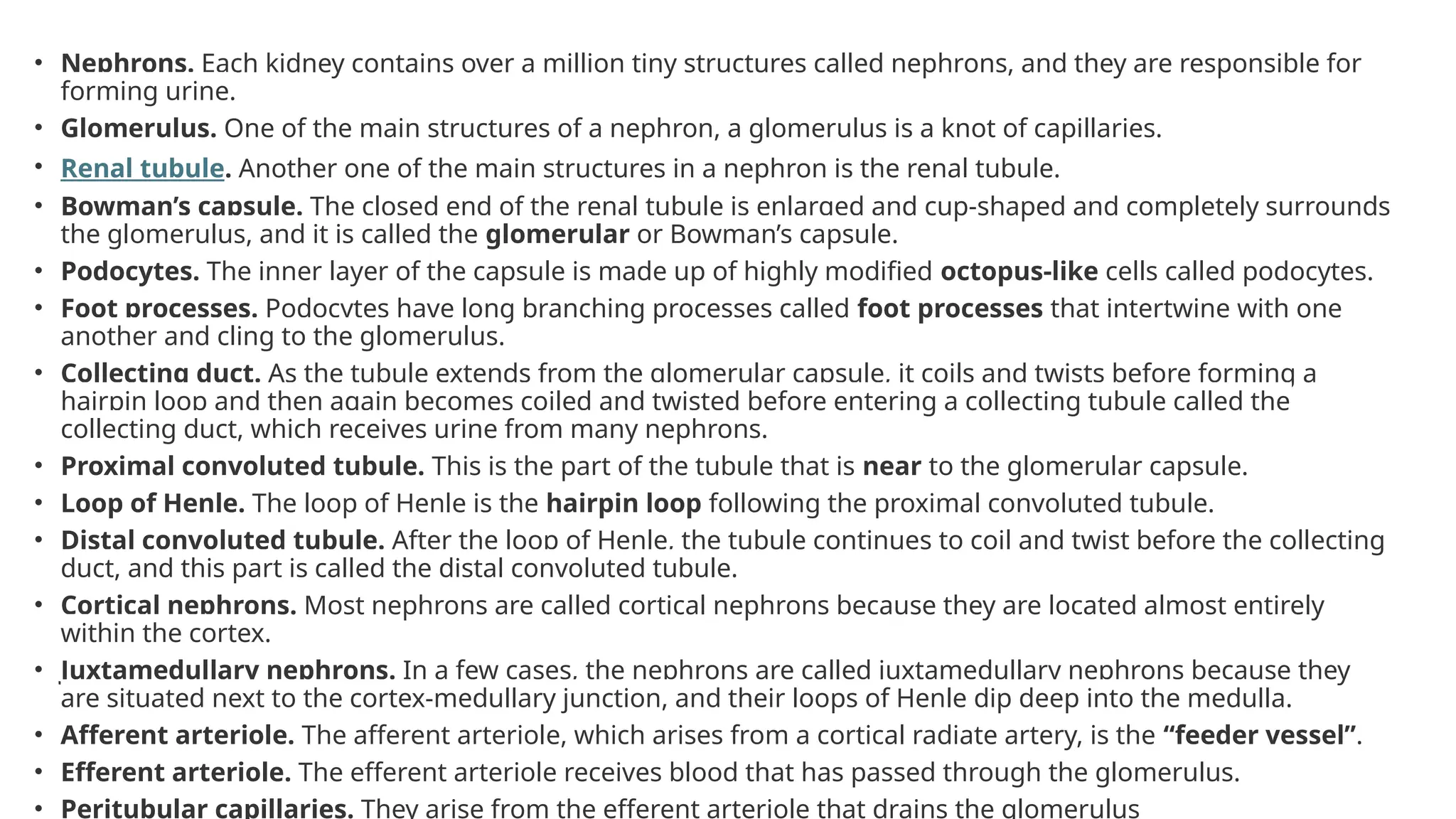 URINARY SYSTEM.pptx by Ravindra seervi | PPTX