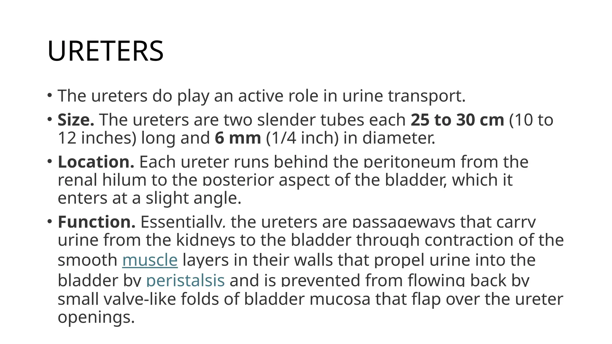 URINARY SYSTEM.pptx by Ravindra seervi | PPTX