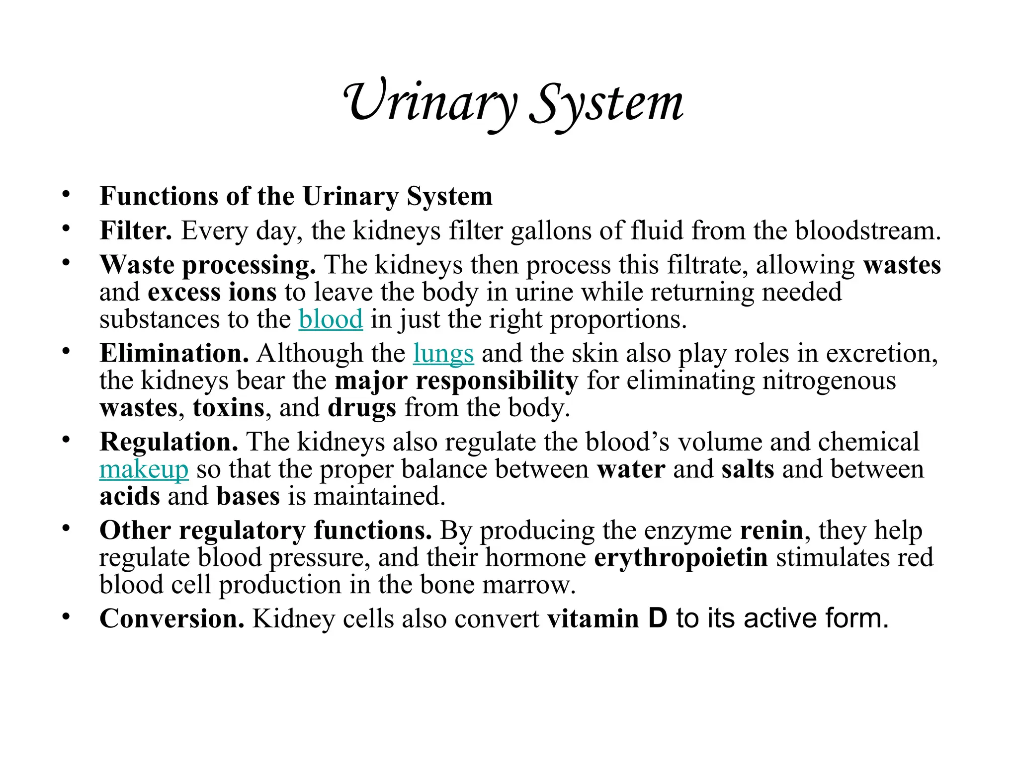 urinary system.ppt parts and functions of it | PPT