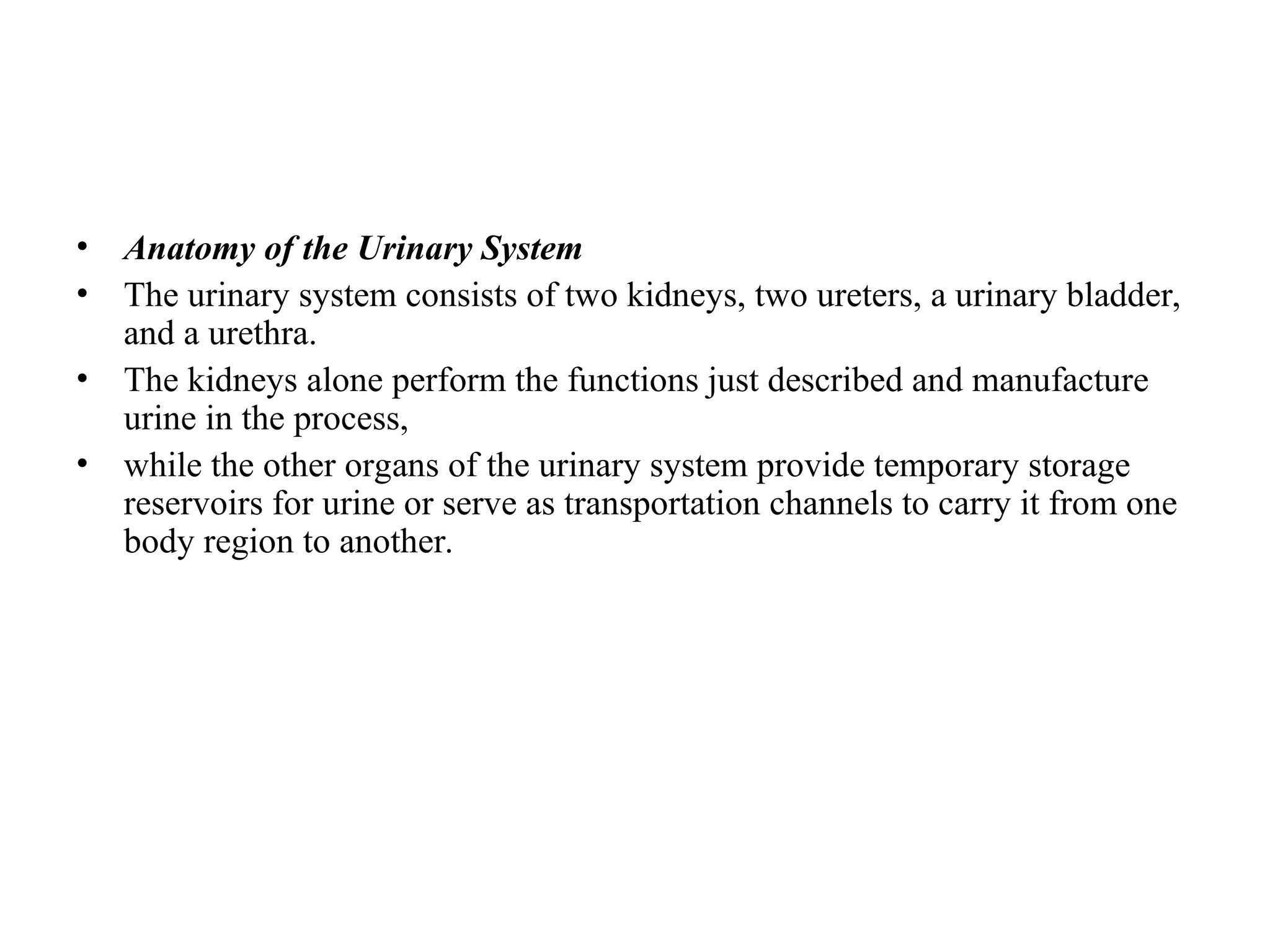 urinary system.ppt parts and functions of it | PPT