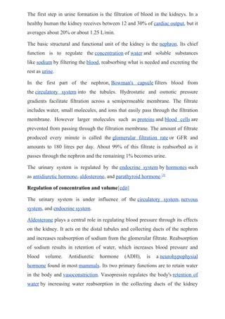 biology Urinary system biology class 10 | DOCX