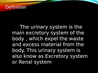urinary system. structure and parts mentioned | PPT