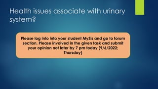 URINARY SYSTEM biologyyy humans urinary system | PPTX