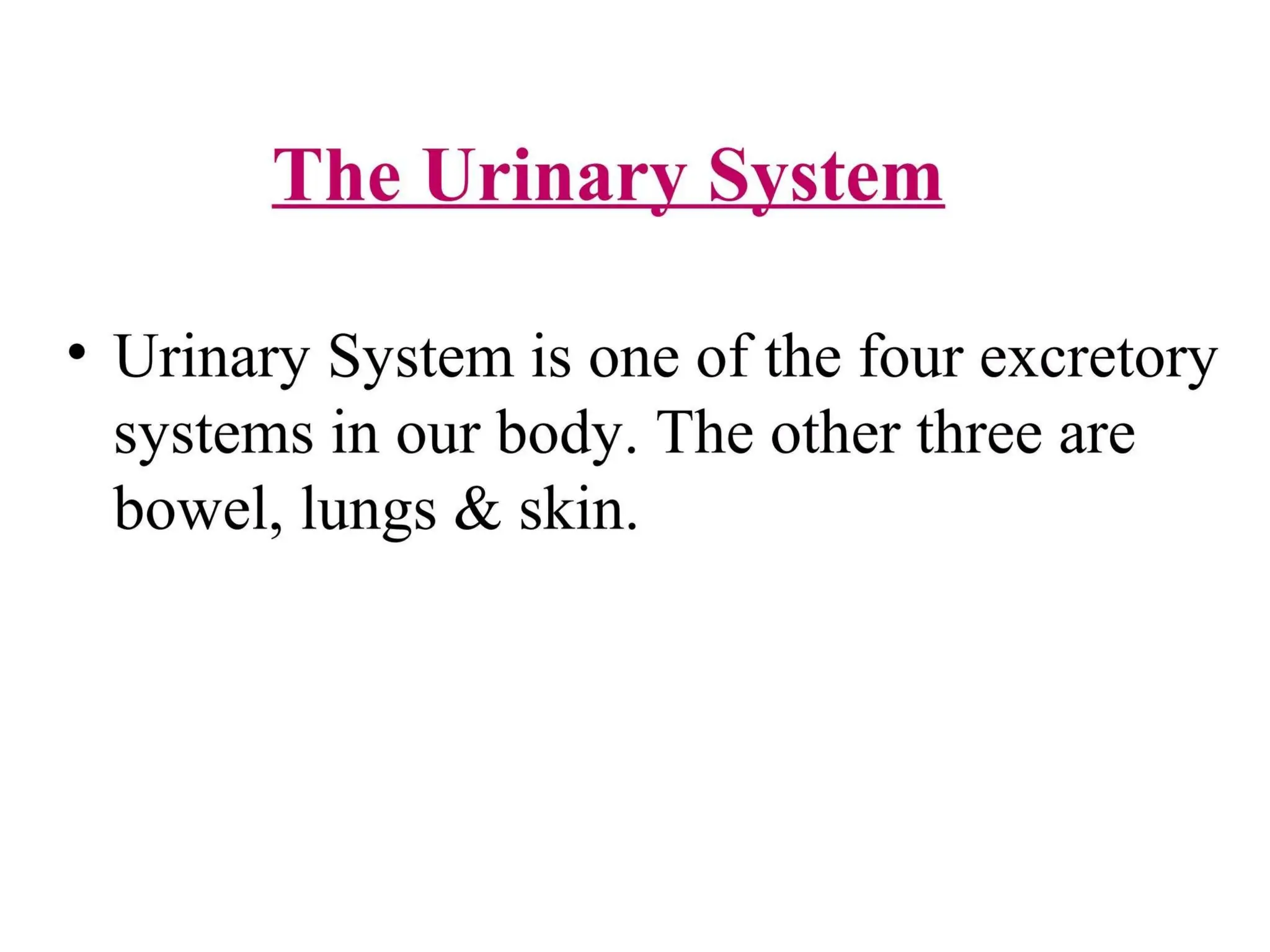 urinary system.pptx fundamental of nursing | PPTX