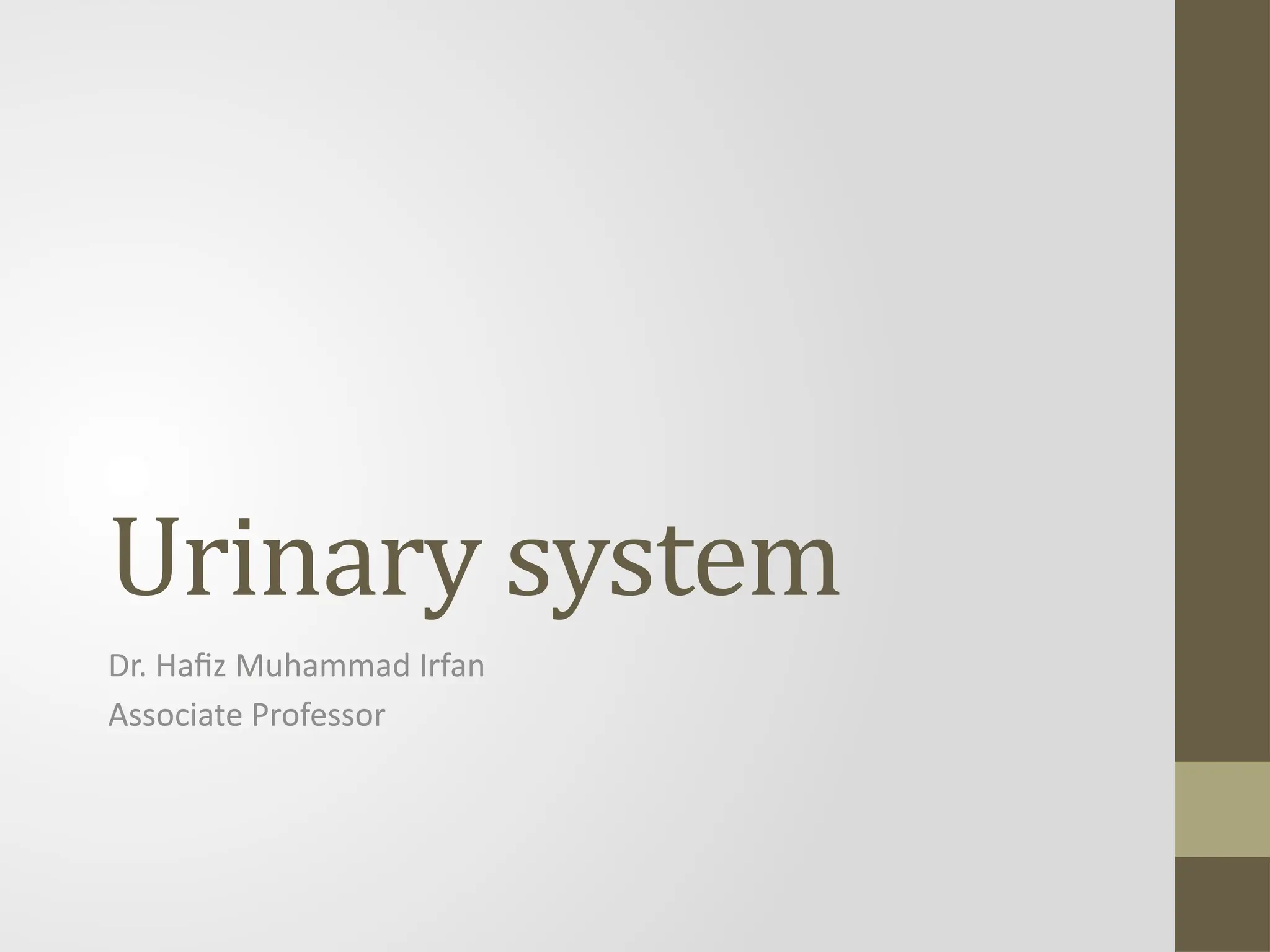 Urinary system a complete details of urinary system | PPTX