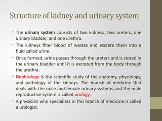 Urinary system a complete details of urinary system | PPTX