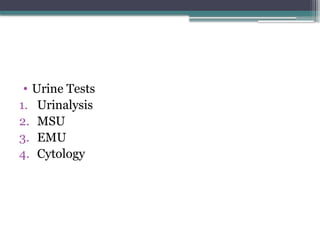 Urinary System diseases mangement .pptx