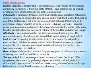 Comprehensive Examination Methods and Symptoms of Urinary System ...