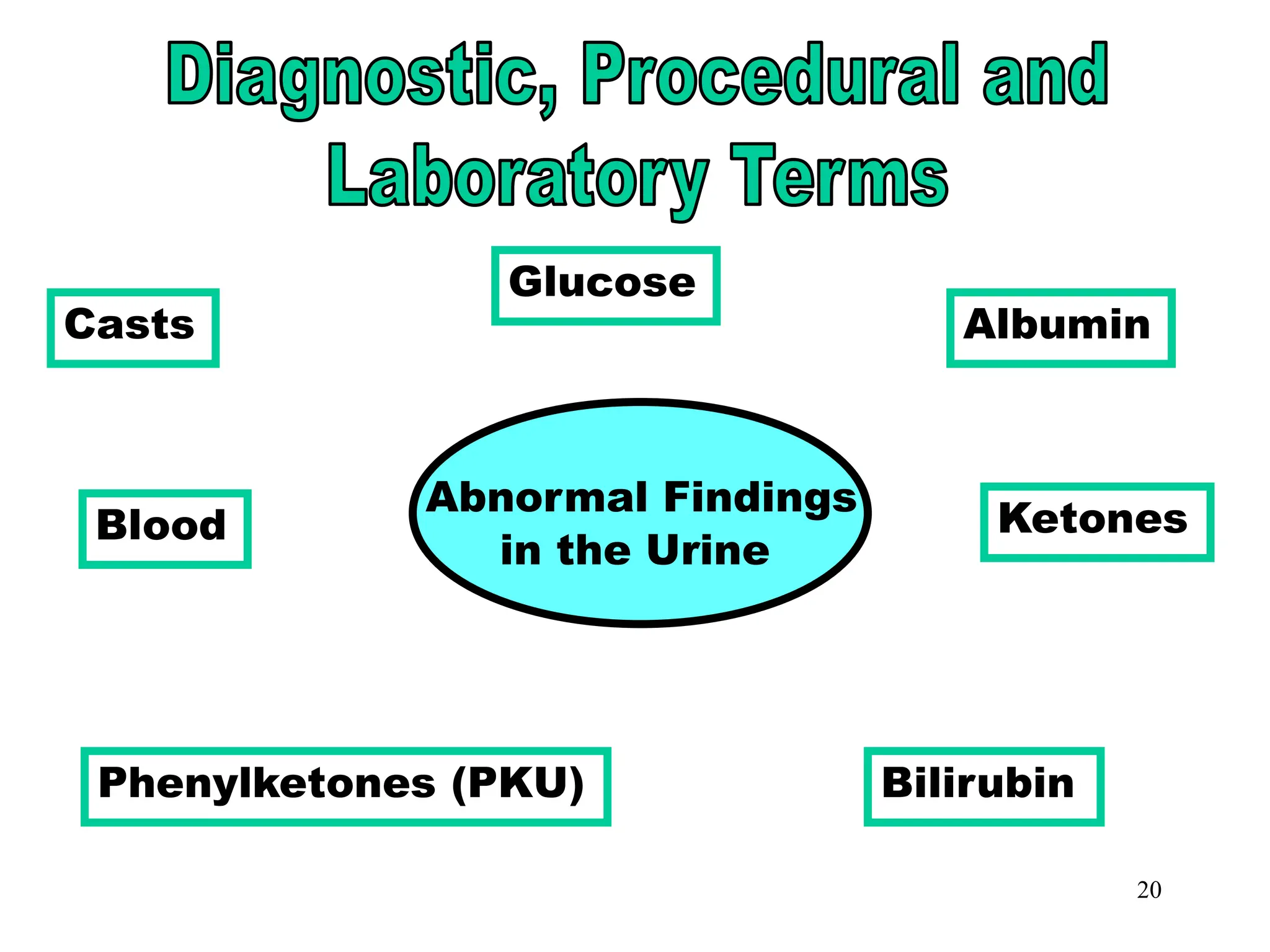 urinary system-combining form-20.04.23.ppt