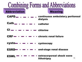 urinary system-combining form-20.04.23.ppt
