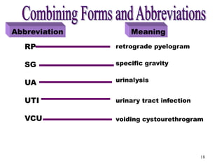 urinary system-combining form-20.04.23.ppt