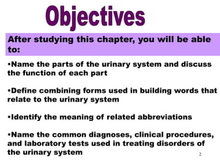 urinary system-combining form-20.04.23.ppt