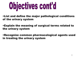 urinary system-combining form-20.04.23.ppt