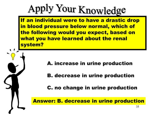 urinary system-combining form-20.04.23.ppt