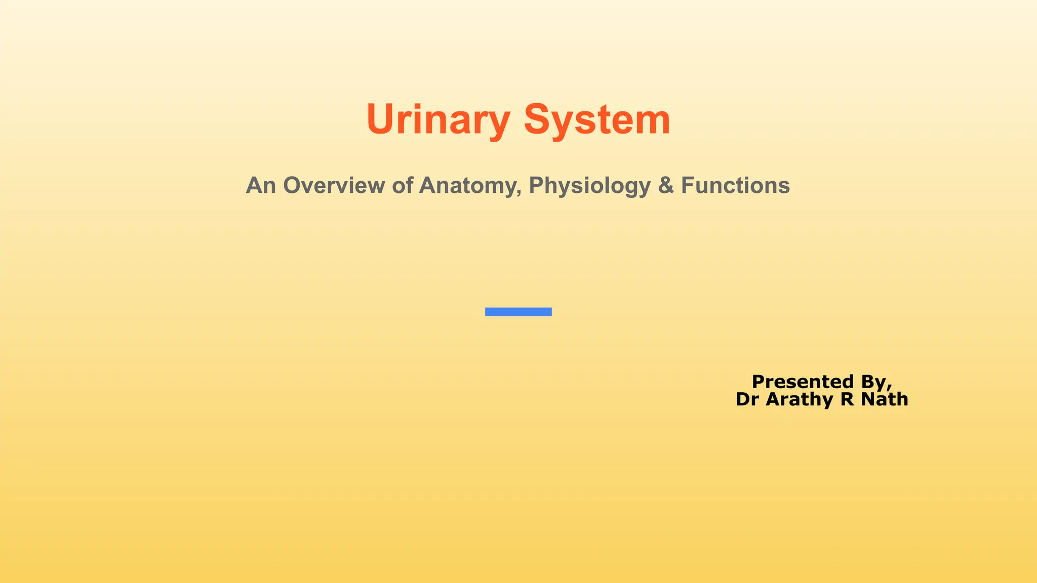 Understanding the Urinary System: From Filtration to Excretion | PPT