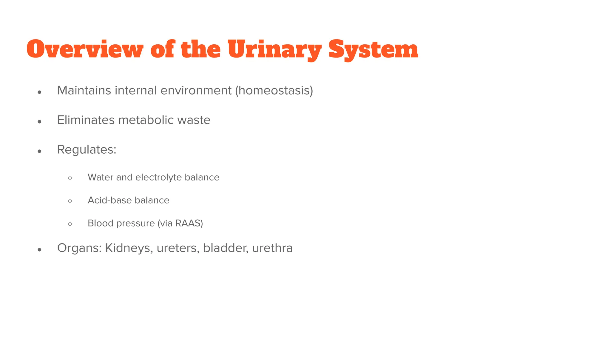 Understanding the Urinary System: From Filtration to Excretion | PDF