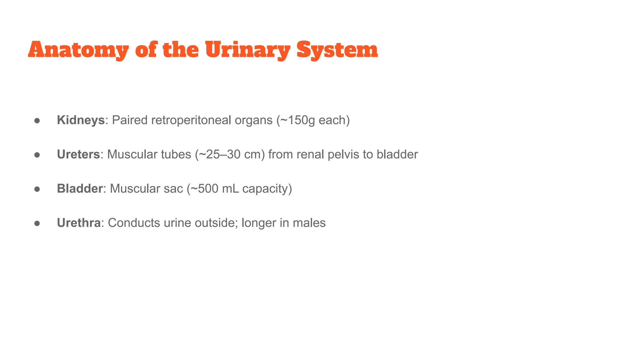 Understanding the Urinary System: From Filtration to Excretion | PDF