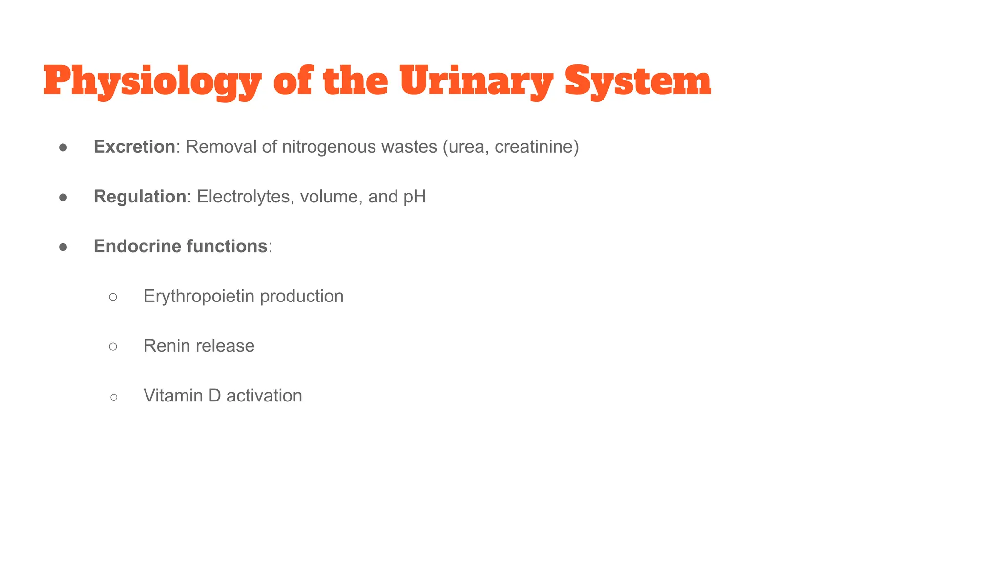 Understanding the Urinary System: From Filtration to Excretion | PDF