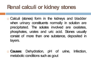 URINARY SYSTEM -SP (5).pptx