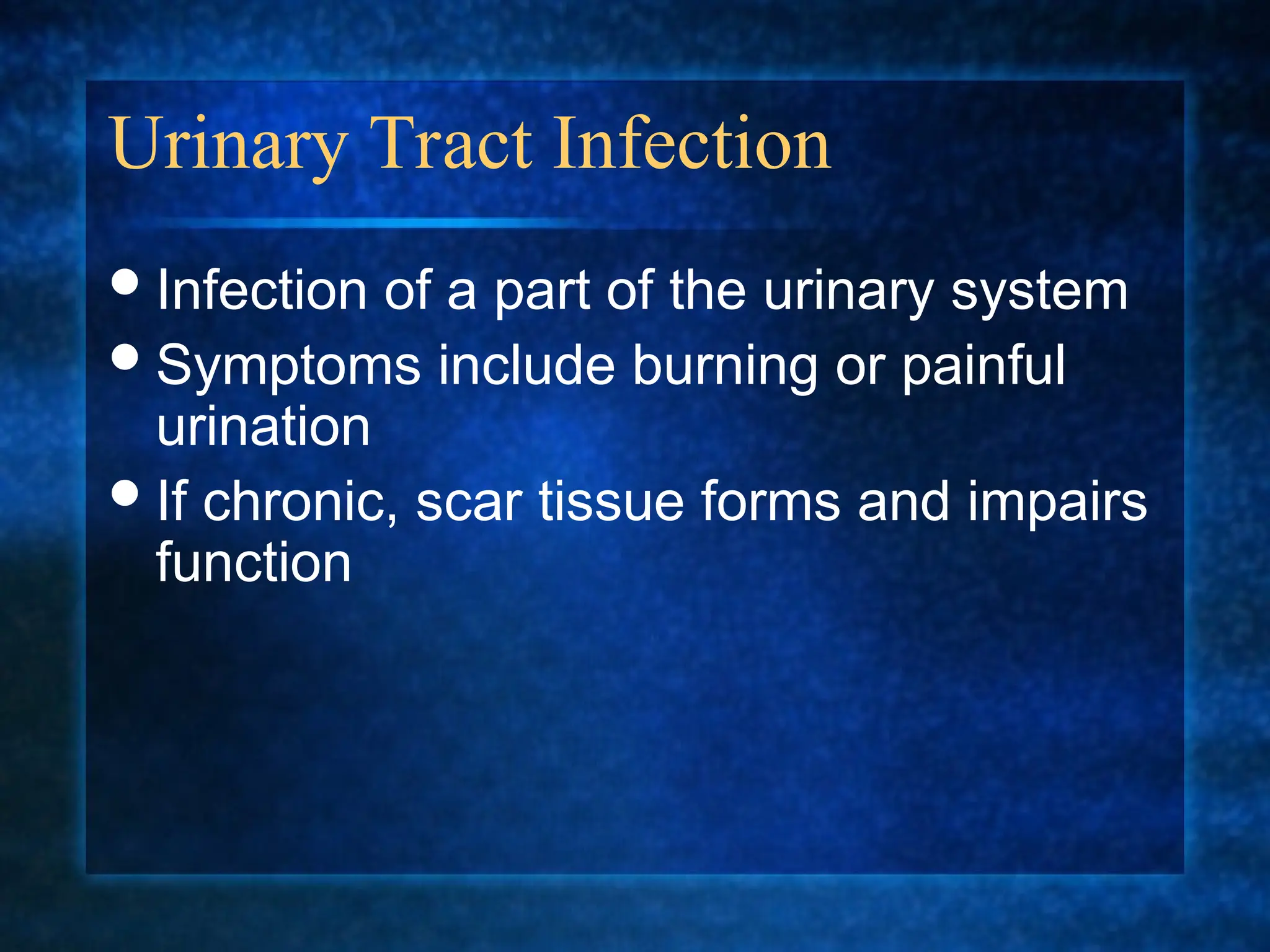 Anatomy and Physiology one. presentarion on UrinarySystem 09.ppt