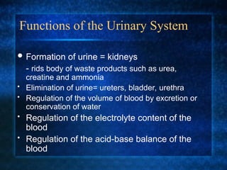 Anatomy and Physiology one. presentarion on UrinarySystem 09.ppt