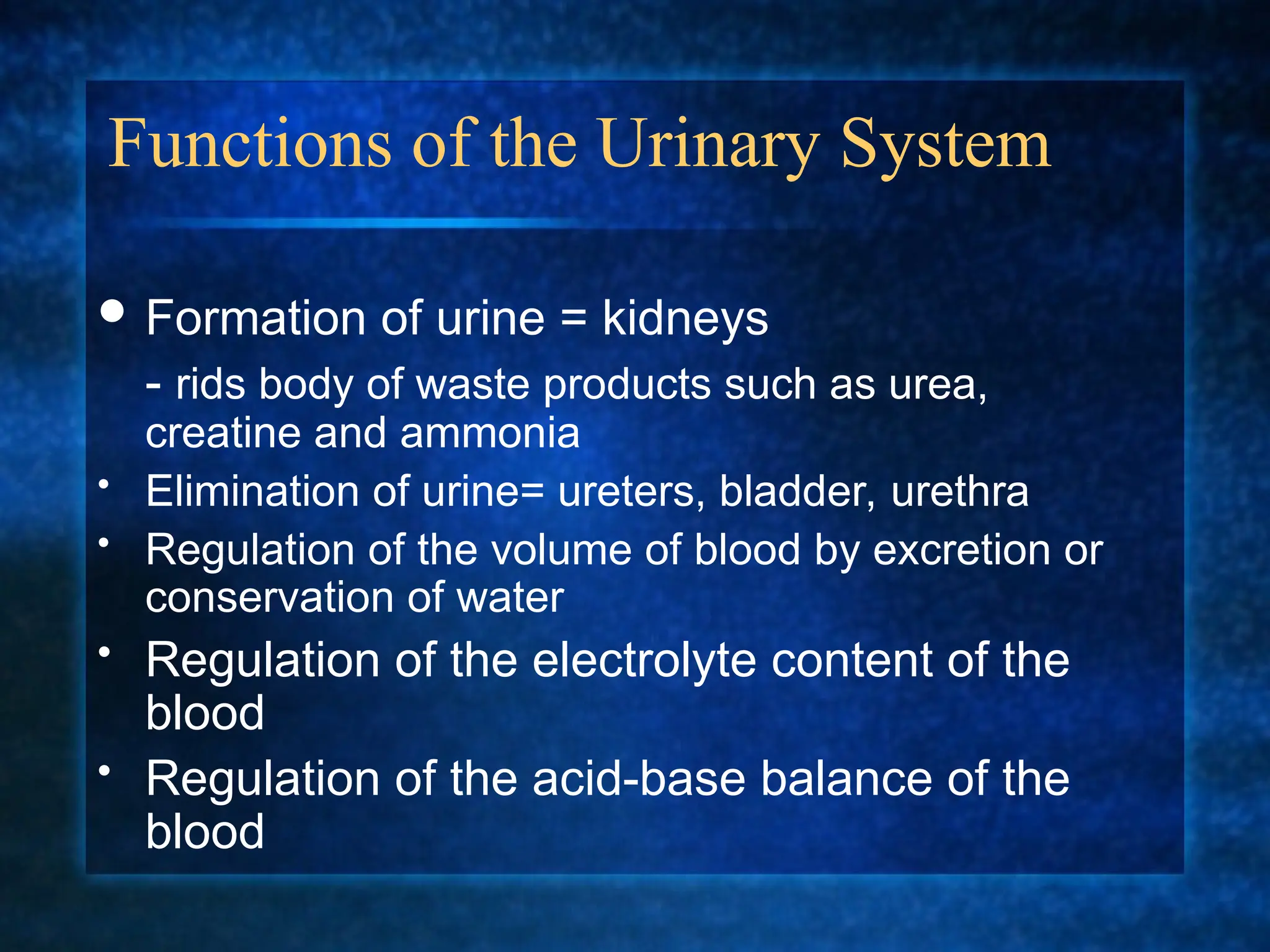 UrinarySystem09 AND PRESENTATION ON THE BODY SYTEM | PPT