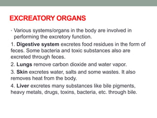 URINARY SYSTEM | PPTX
